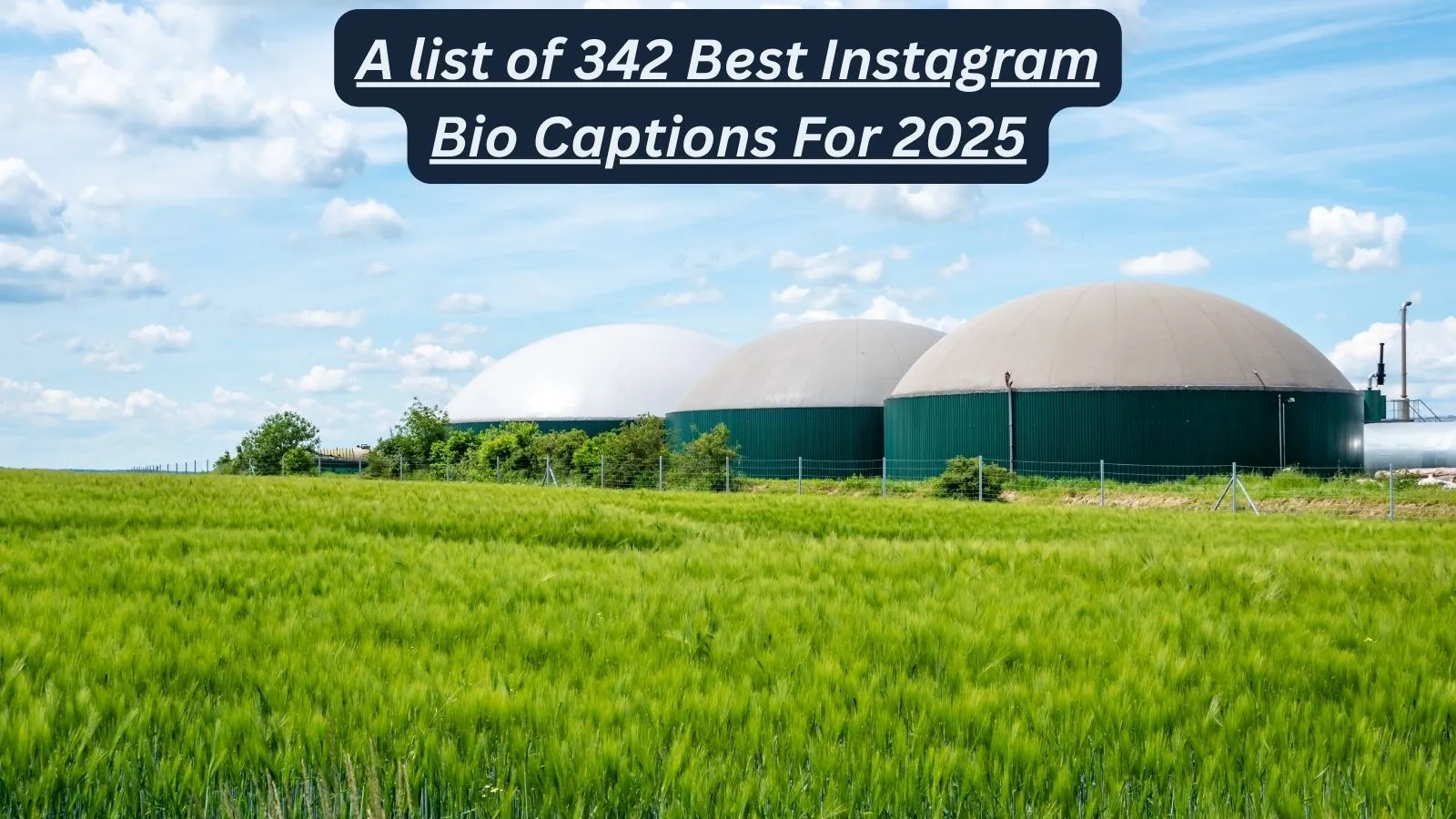 342+Best Instagram Bio Captions For 2025