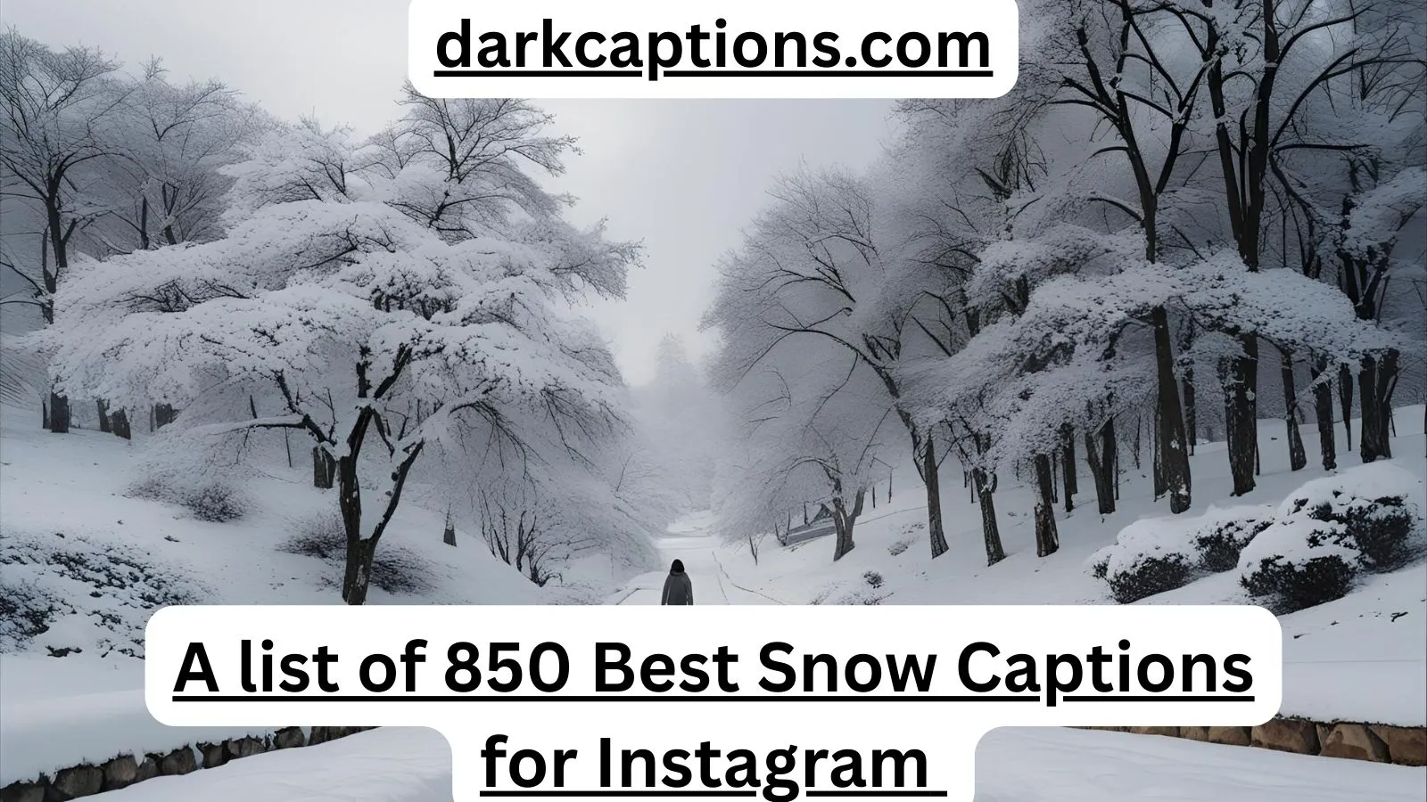 850+Best Snow Captions for Instagram For 2025